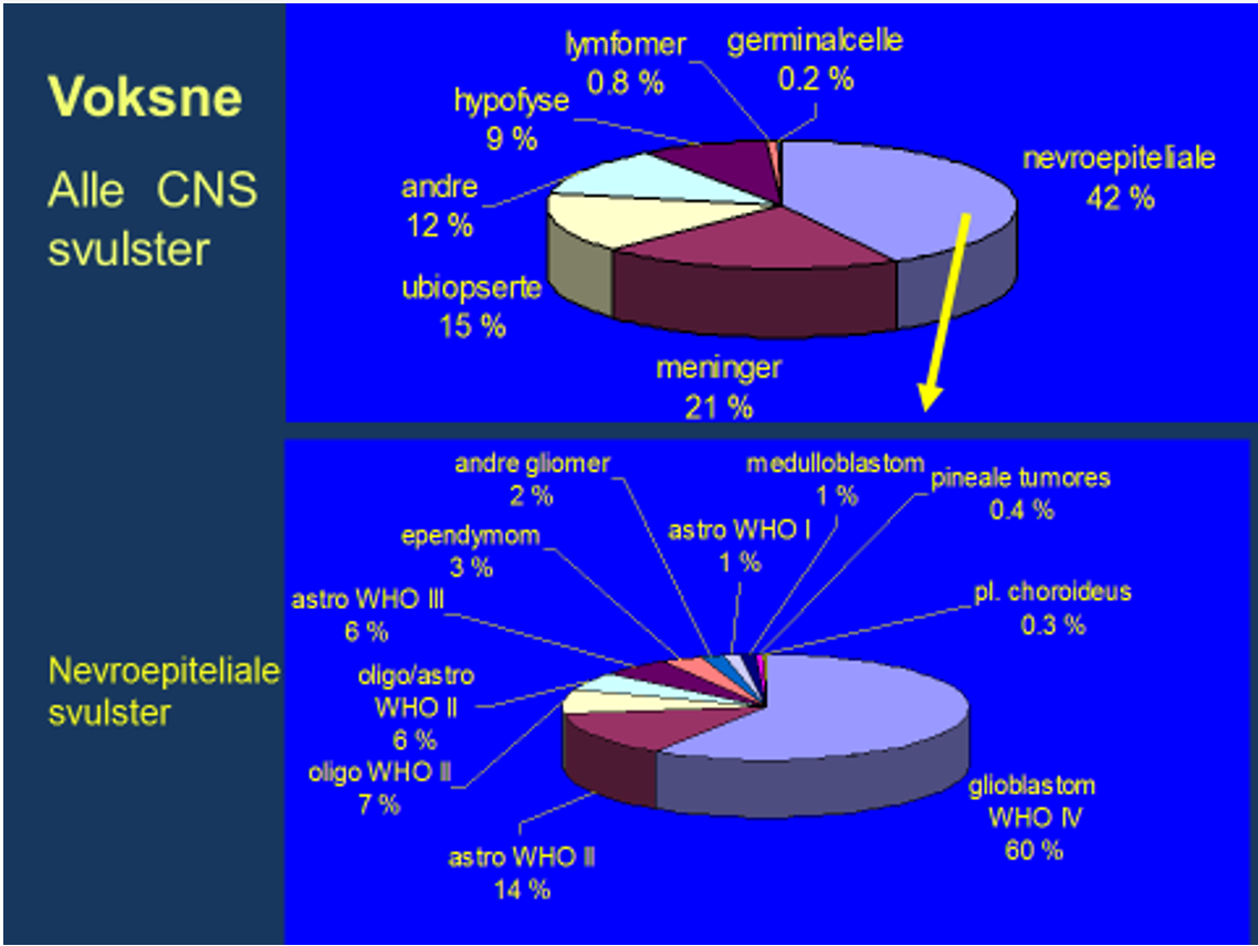 Insidens og epidemiologi - Helsedirektoratet